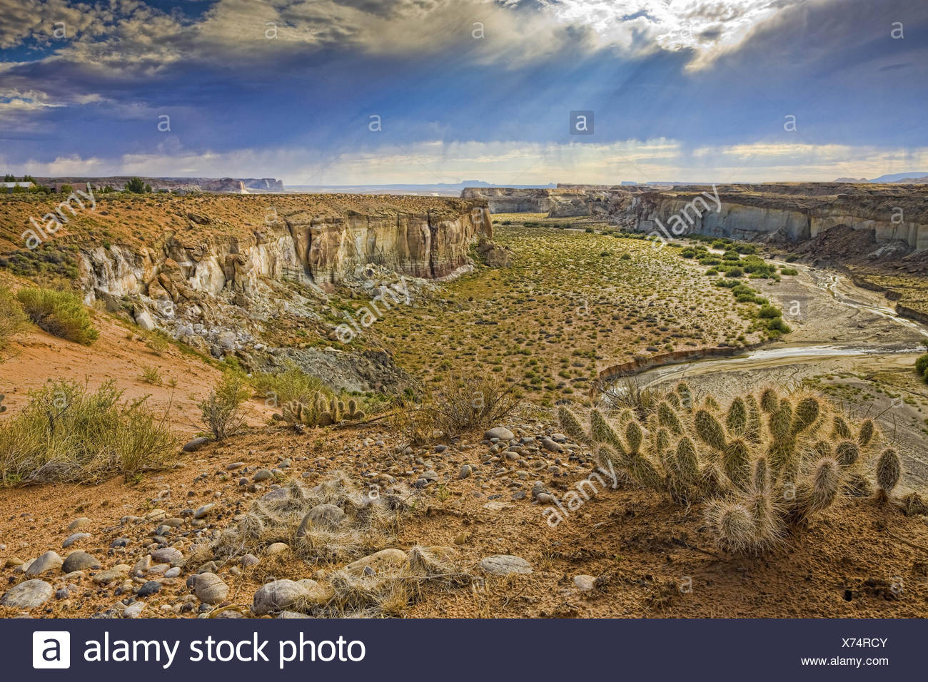 Edge Of The Desert High Resolution Stock Photography and Images - Alamy