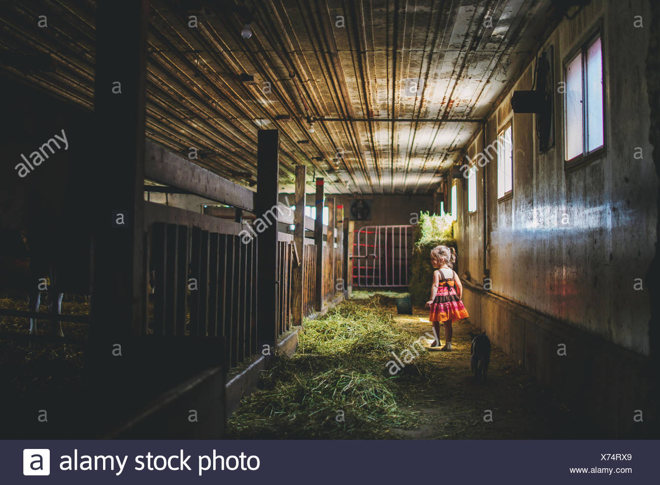 Stable Girls Stock Photos & Stable Girls Stock Images - Alamy