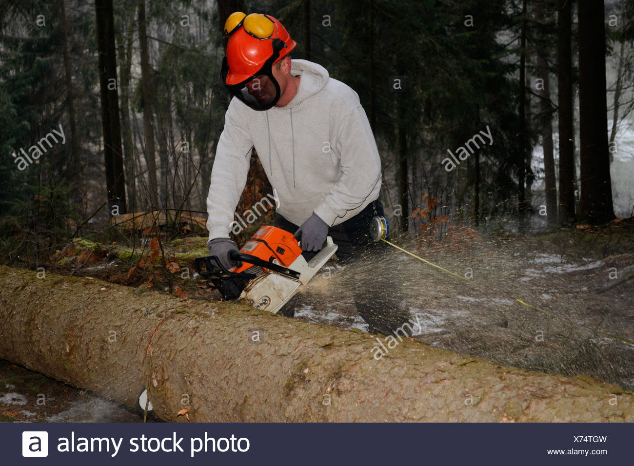 Forestry Workers Stock Photos & Forestry Workers Stock Images - Alamy