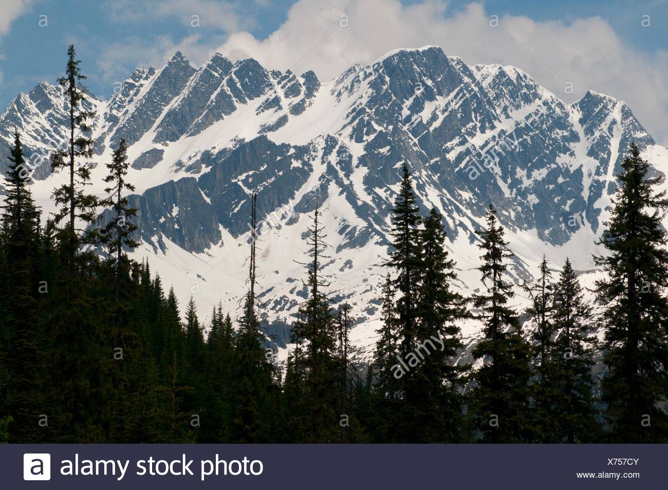 Rogers Pass National Historic Site High Resolution Stock Photography ...