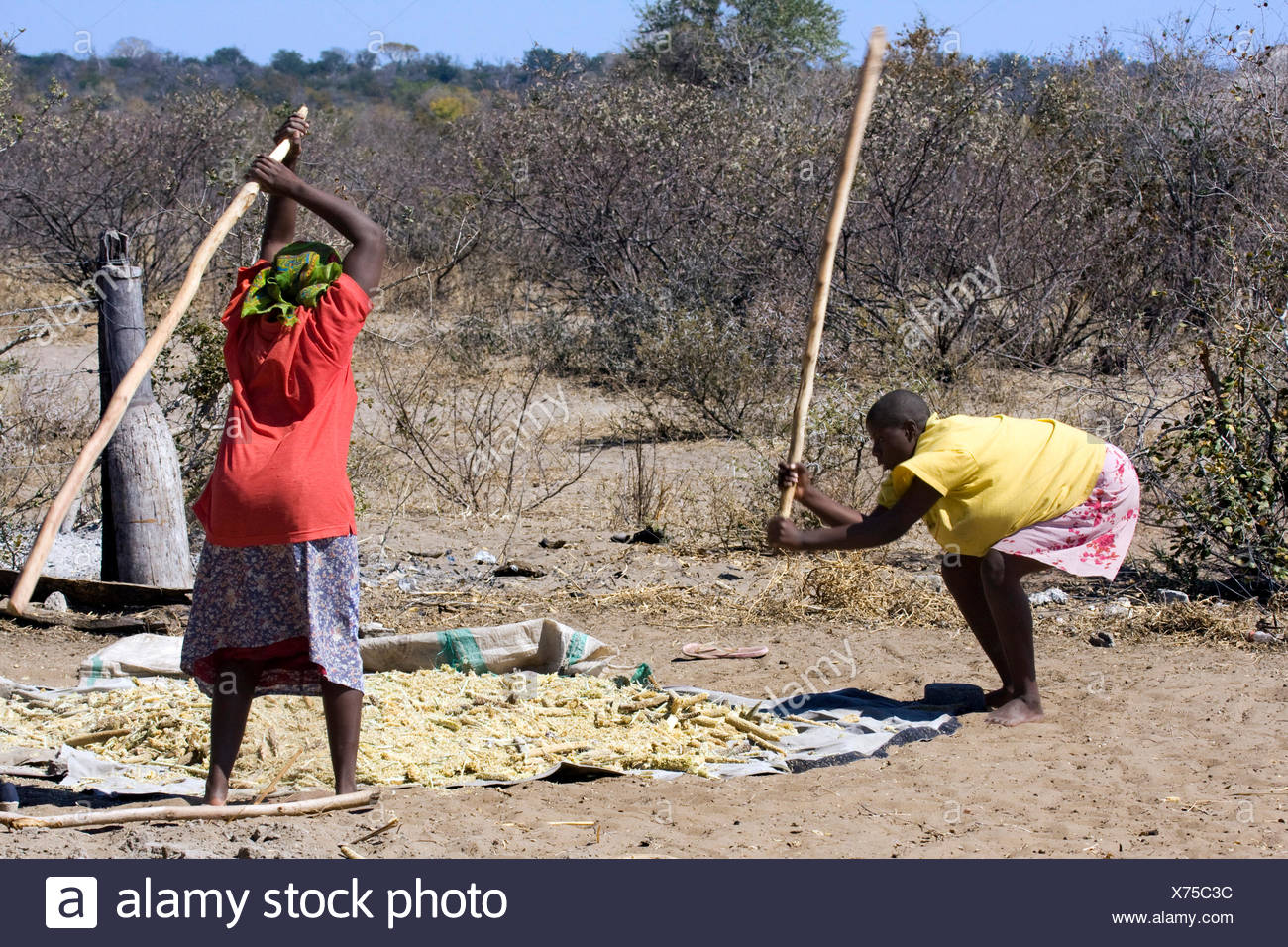 Africa Maize High Resolution Stock Photography and Images - Alamy