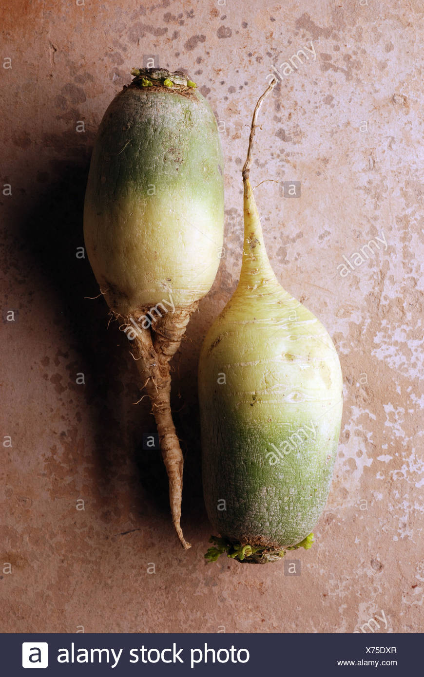Long Green Vegetables Stock Photos & Long Green Vegetables Stock Images ...