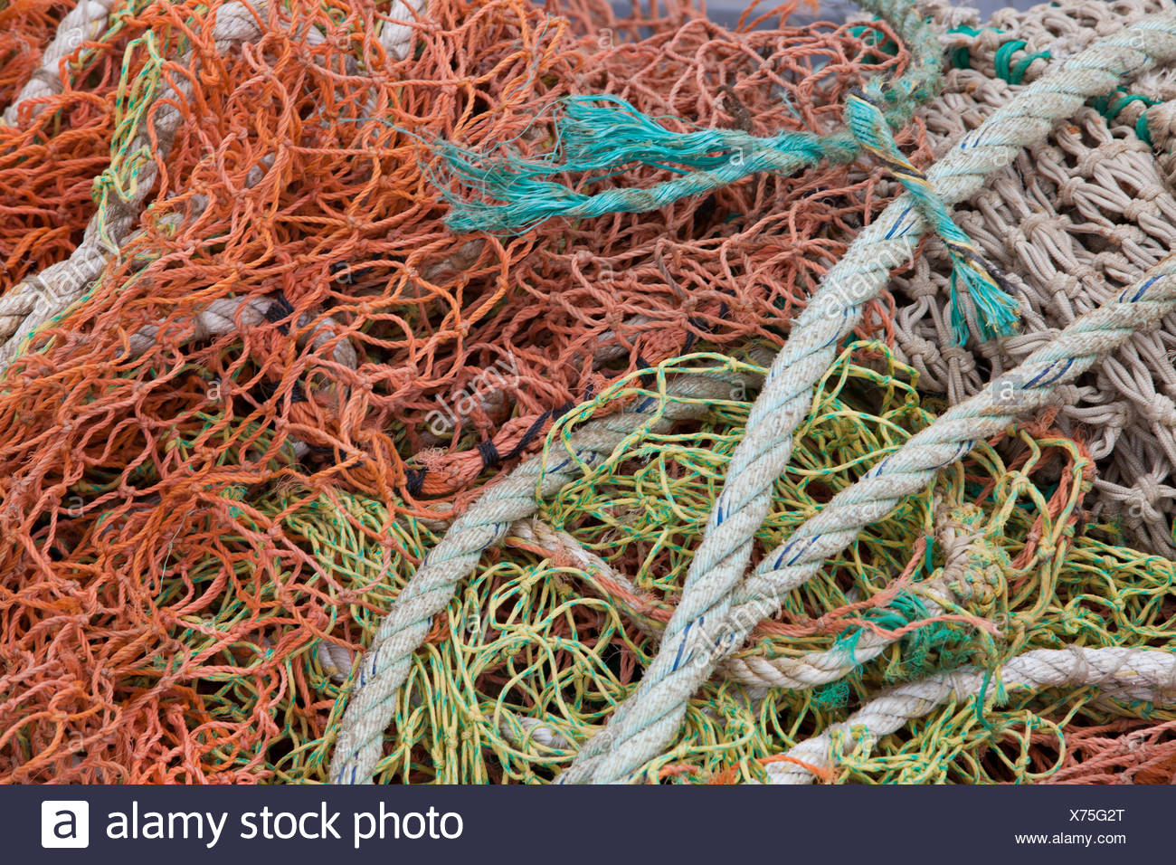 Tangled Complexity High Resolution Stock Photography and Images - Alamy