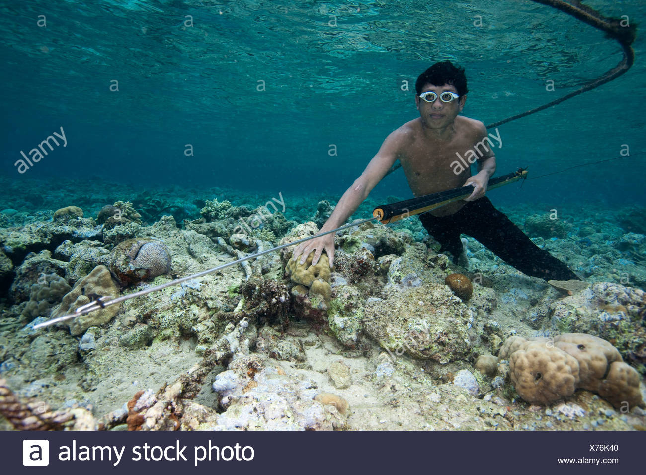 Native Harpoon High Resolution Stock Photography and Images - Alamy