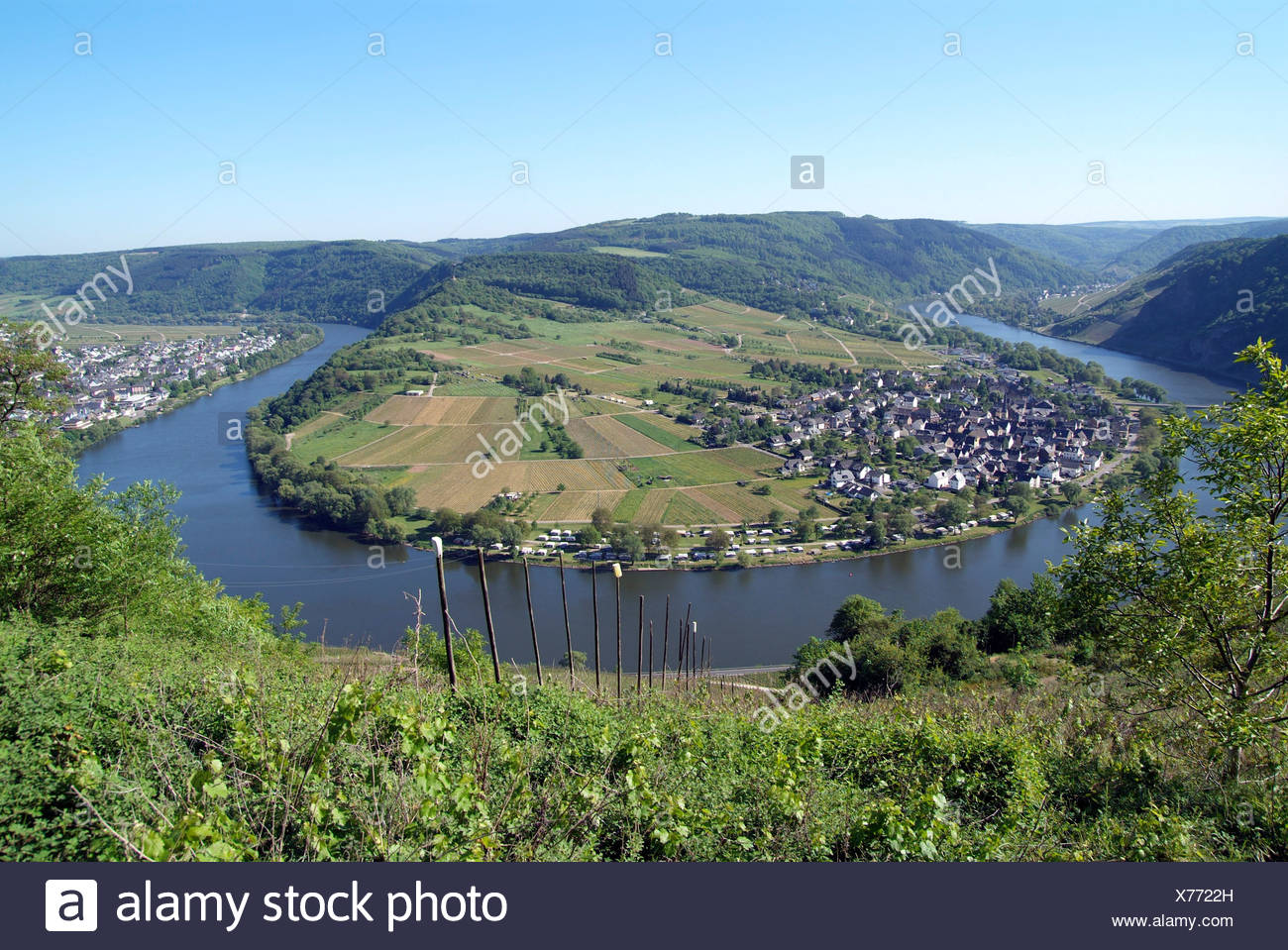 Kroev Wolf High Resolution Stock Photography and Images - Alamy