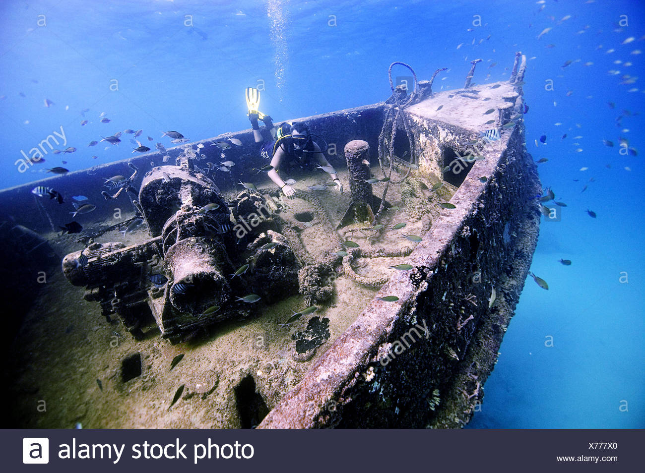 Human Remains On Shipwreck High Resolution Stock Photography and Images ...