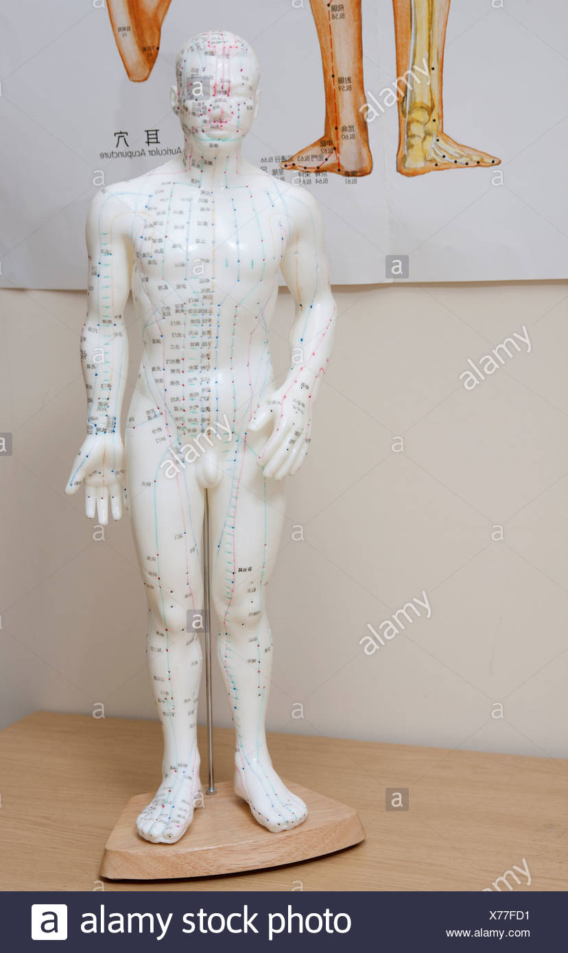 Acupuncture Meridians High Resolution Stock Photography and Images - Alamy