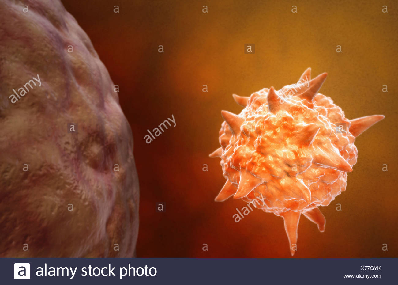 Viron High Resolution Stock Photography and Images - Alamy