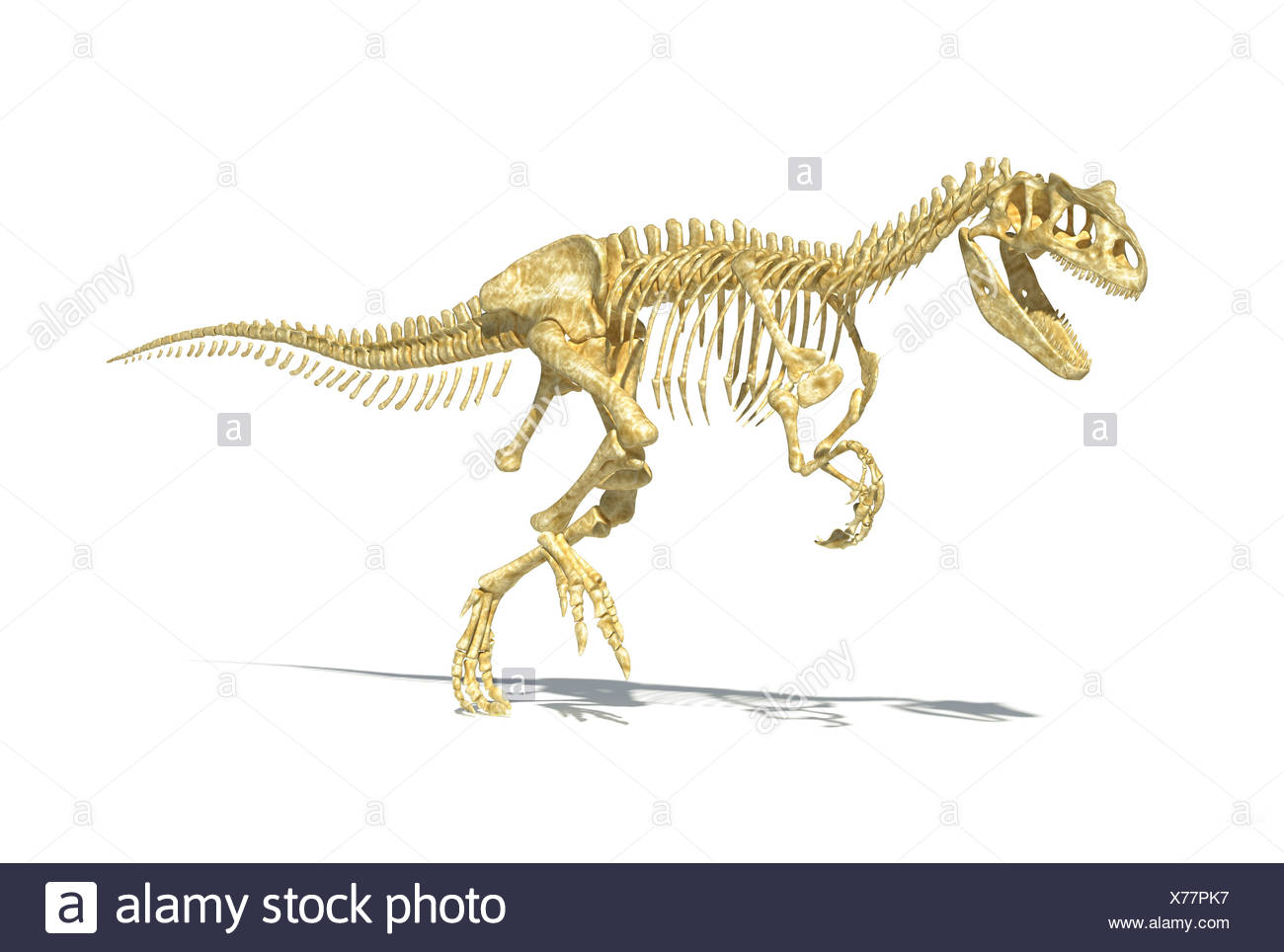 Dinosaur Bipedal High Resolution Stock Photography and Images - Alamy