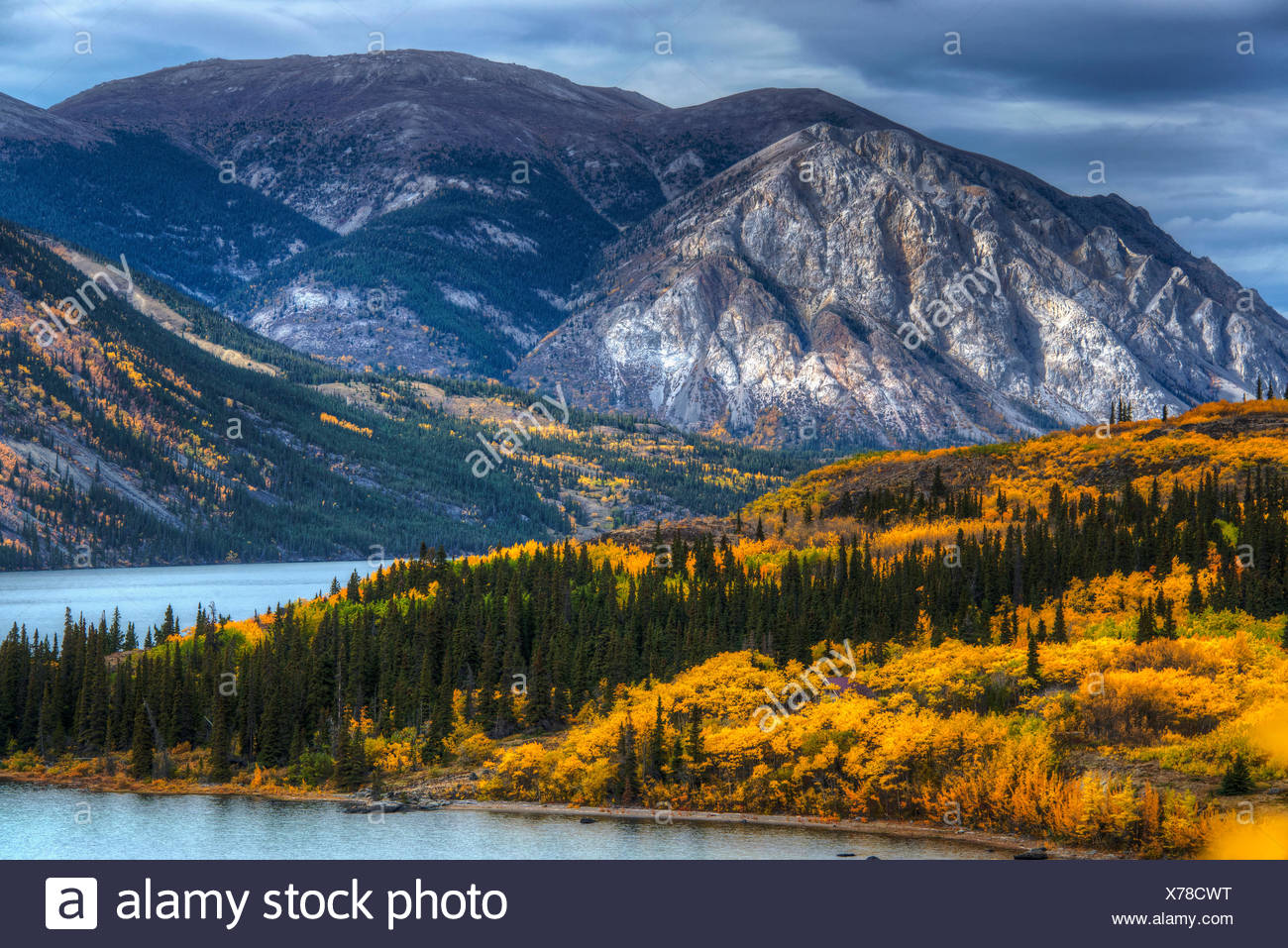Tagish Lake Stock Photos & Tagish Lake Stock Images - Alamy