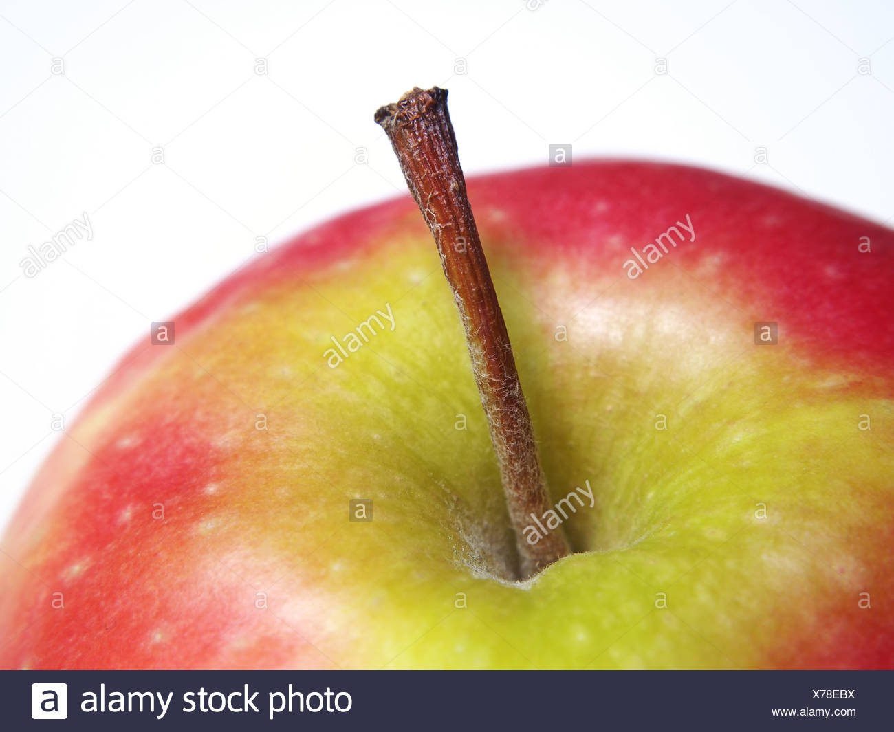 Apple Stalk Apfel Stiel High Resolution Stock Photography and Images ...
