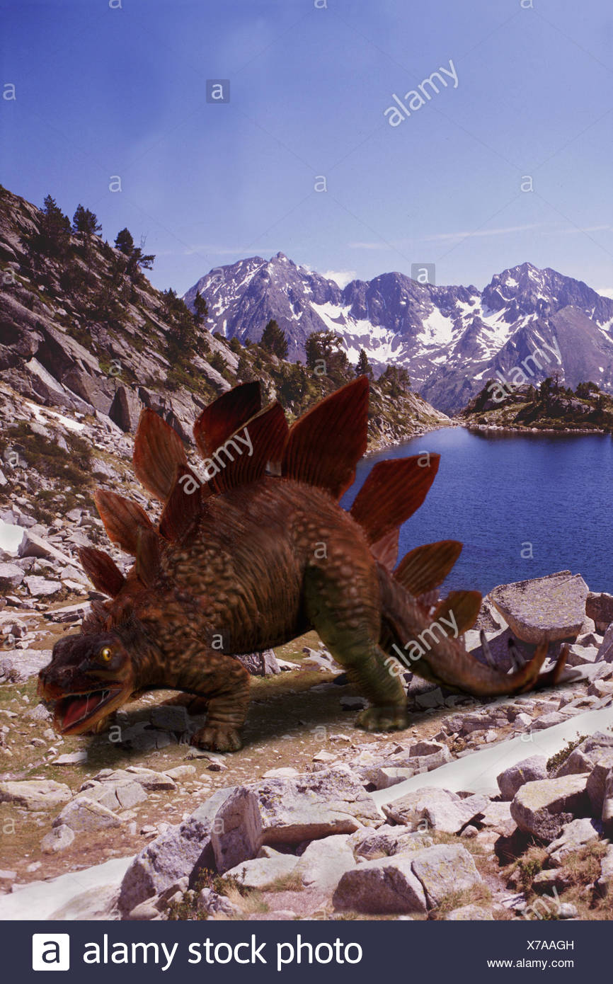 Late Jurassic Period High Resolution Stock Photography and Images - Alamy