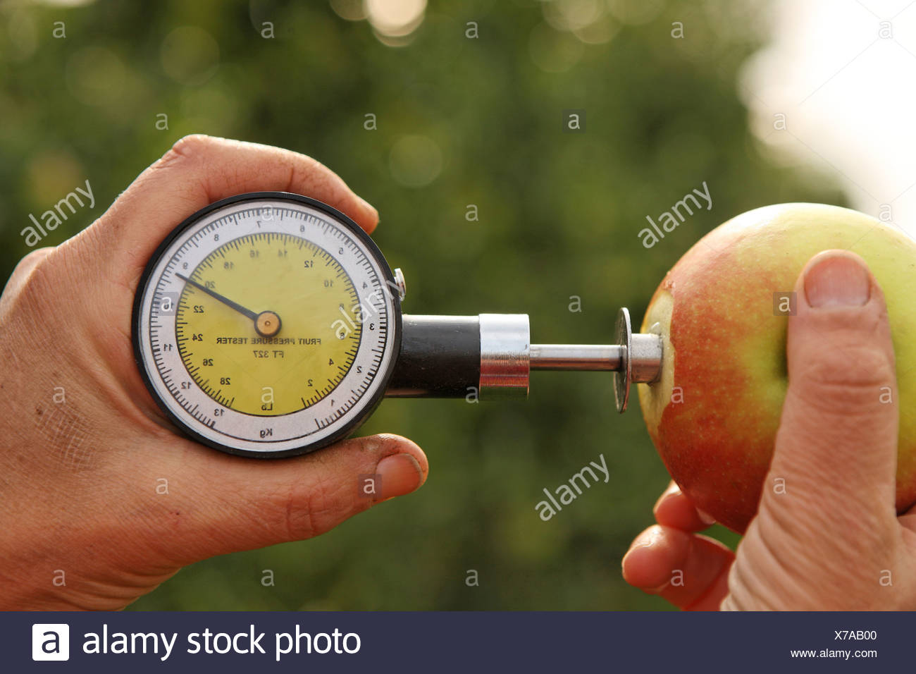 Penetrometer High Resolution Stock Photography and Images - Alamy