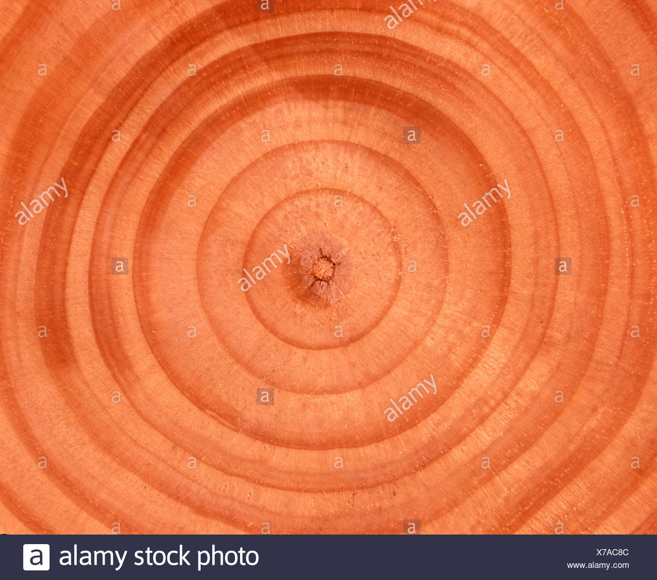 Annulus Stock Photos & Annulus Stock Images - Alamy