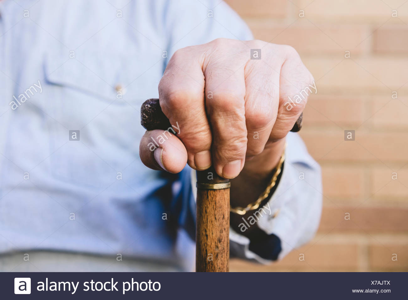 Cane Break Stock Photos & Cane Break Stock Images - Alamy