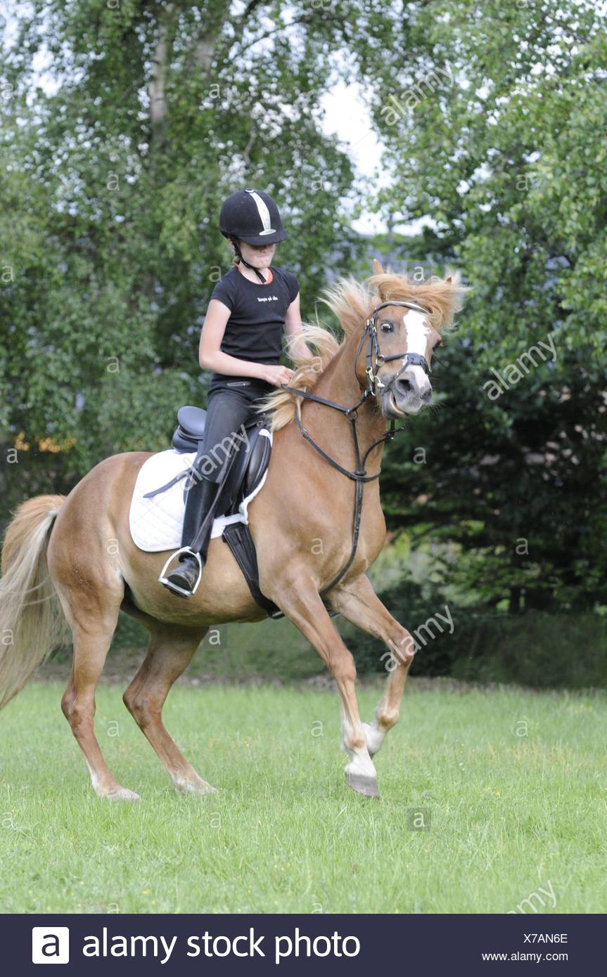 Bucking Pony Stock Photos & Bucking Pony Stock Images - Alamy