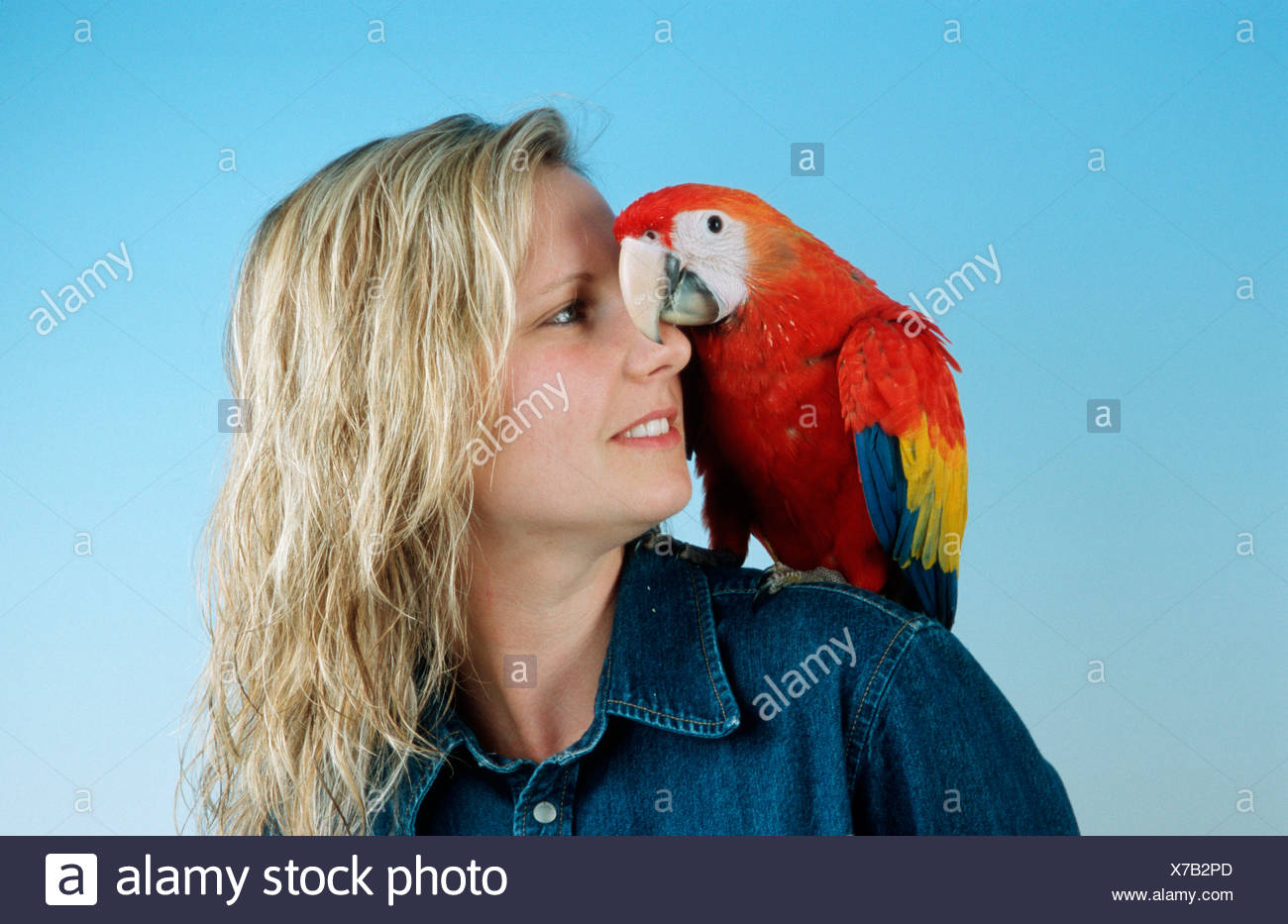 Woman Macaw High Resolution Stock Photography and Images - Alamy