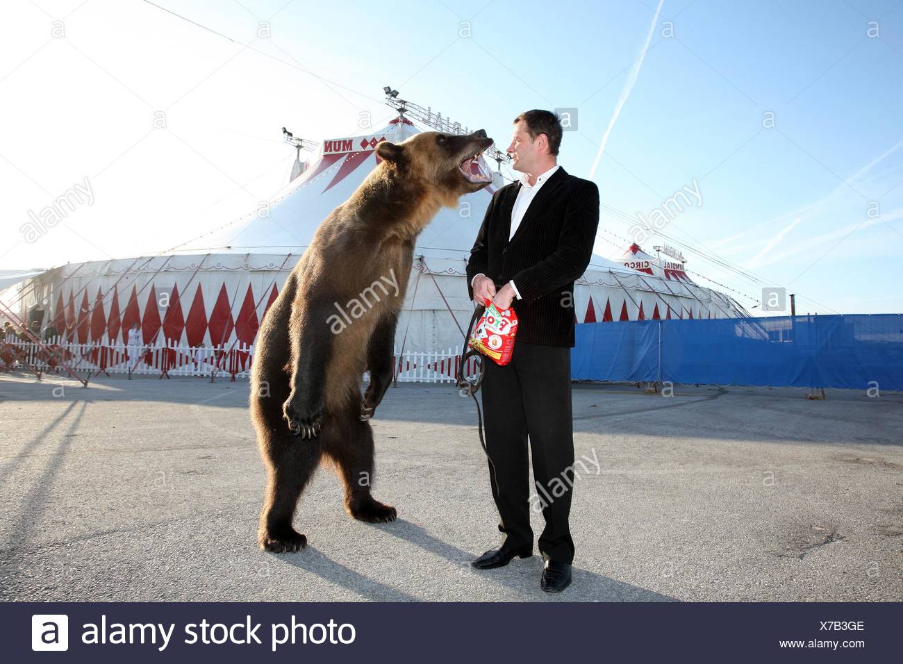 Circus Bear Trainer High Resolution Stock Photography and Images - Alamy