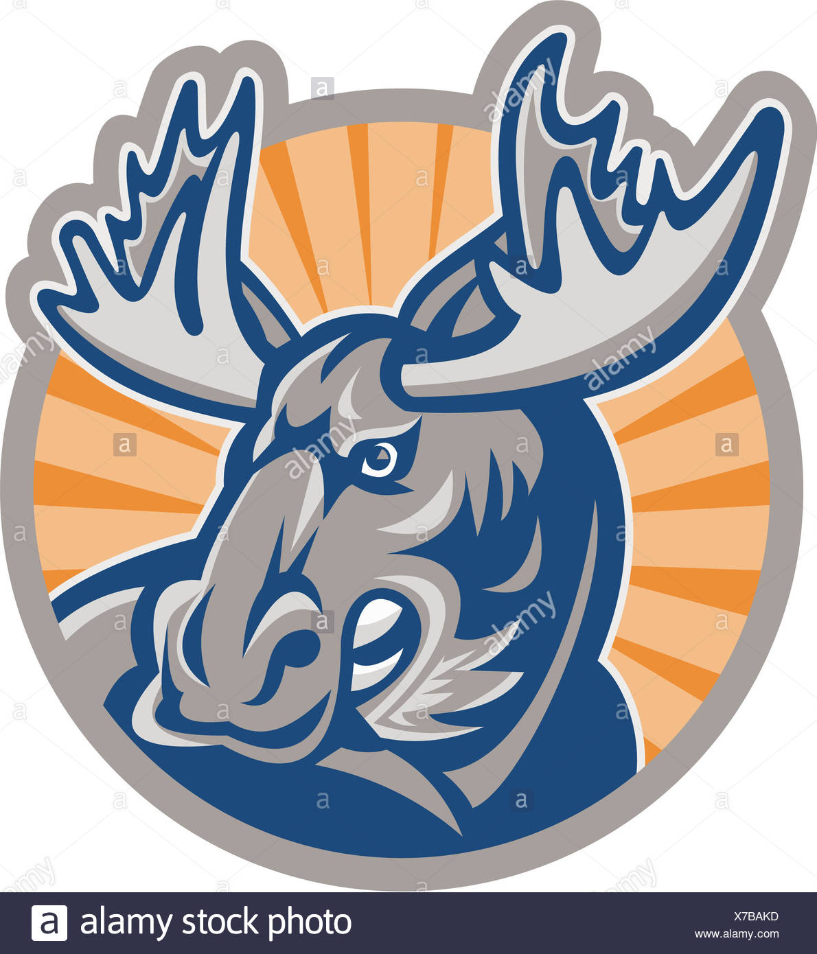 Angry Moose High Resolution Stock Photography and Images - Alamy