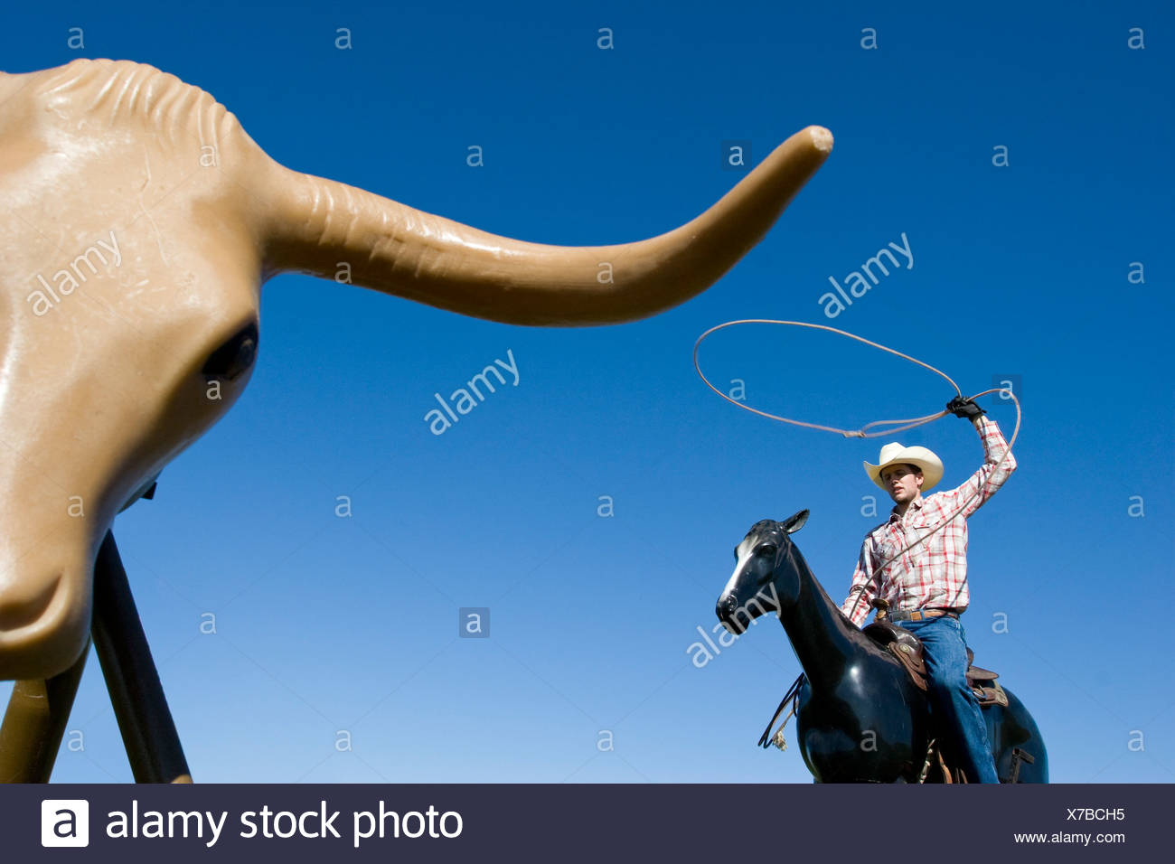 Cowboy Lasso Stock Photos & Cowboy Lasso Stock Images - Alamy