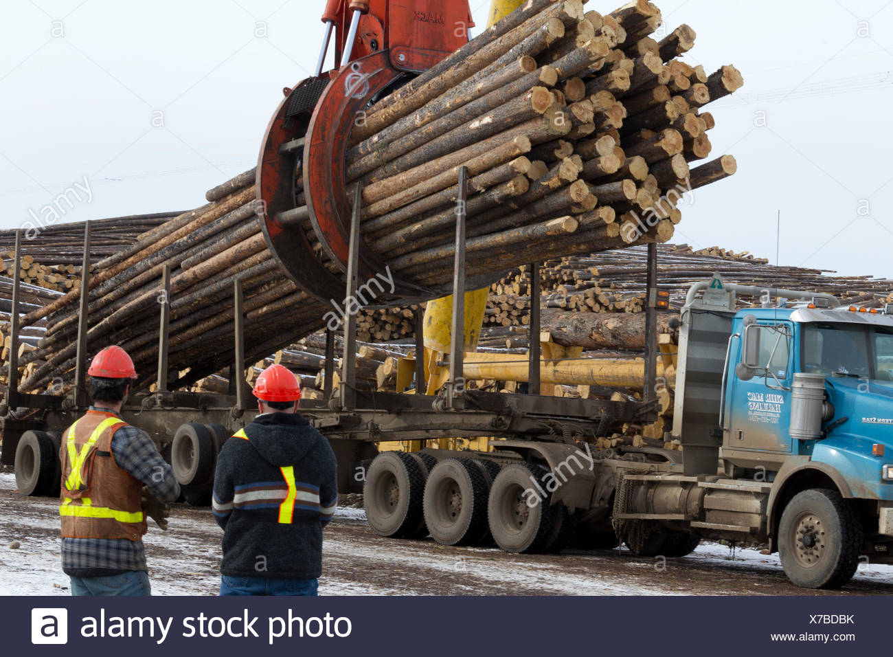 Weyerhaeuser High Resolution Stock Photography and Images - Alamy
