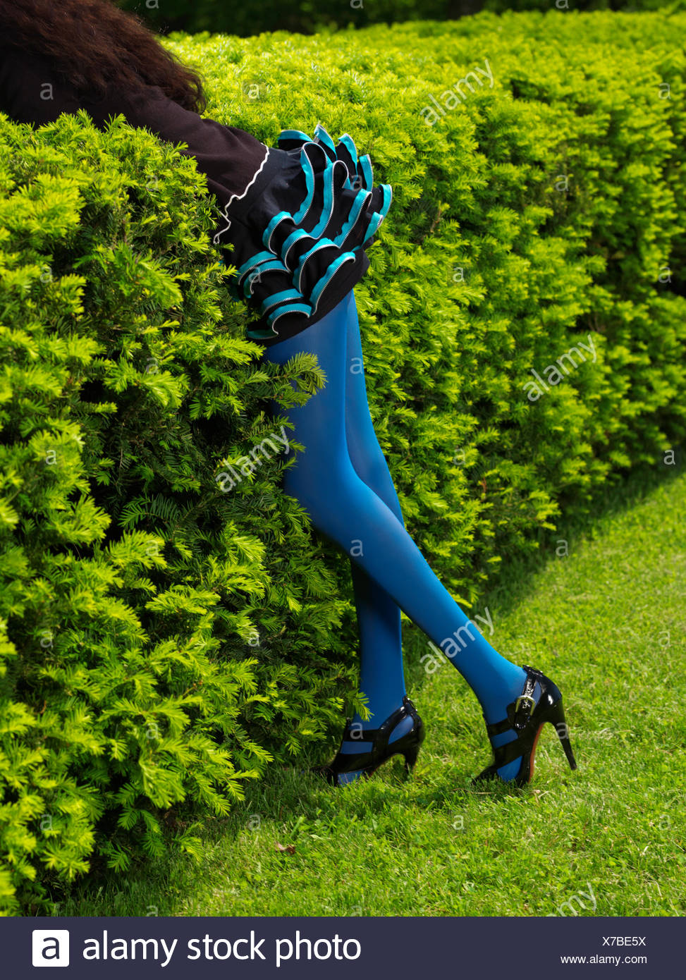 Blue Stockings High Resolution Stock Photography and Images - Alamy
