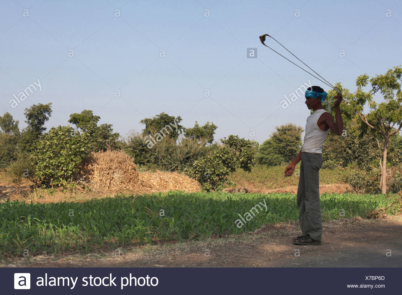 Scaring Birds High Resolution Stock Photography and Images - Alamy