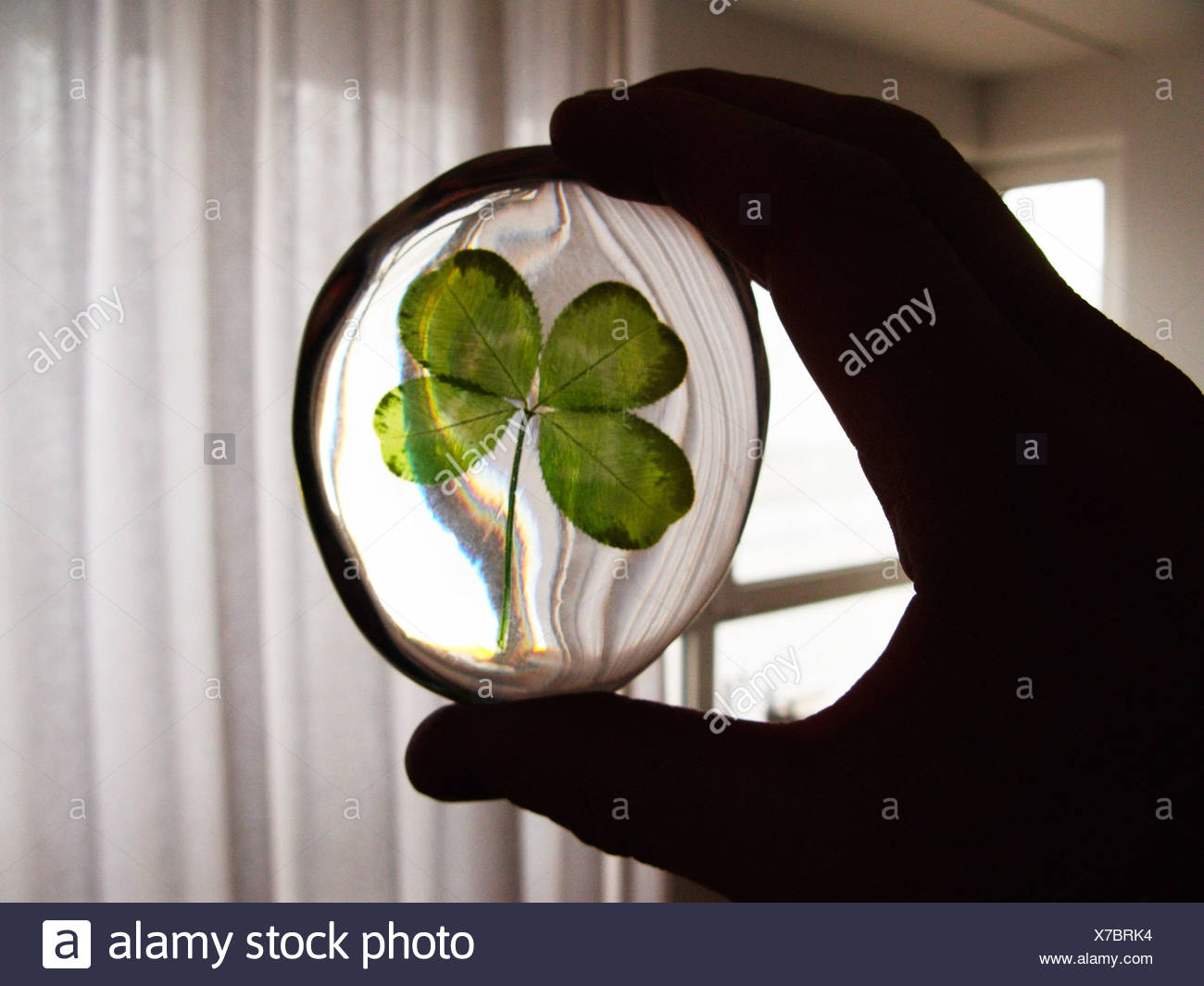 Four Part Stock Photos & Four Part Stock Images - Alamy