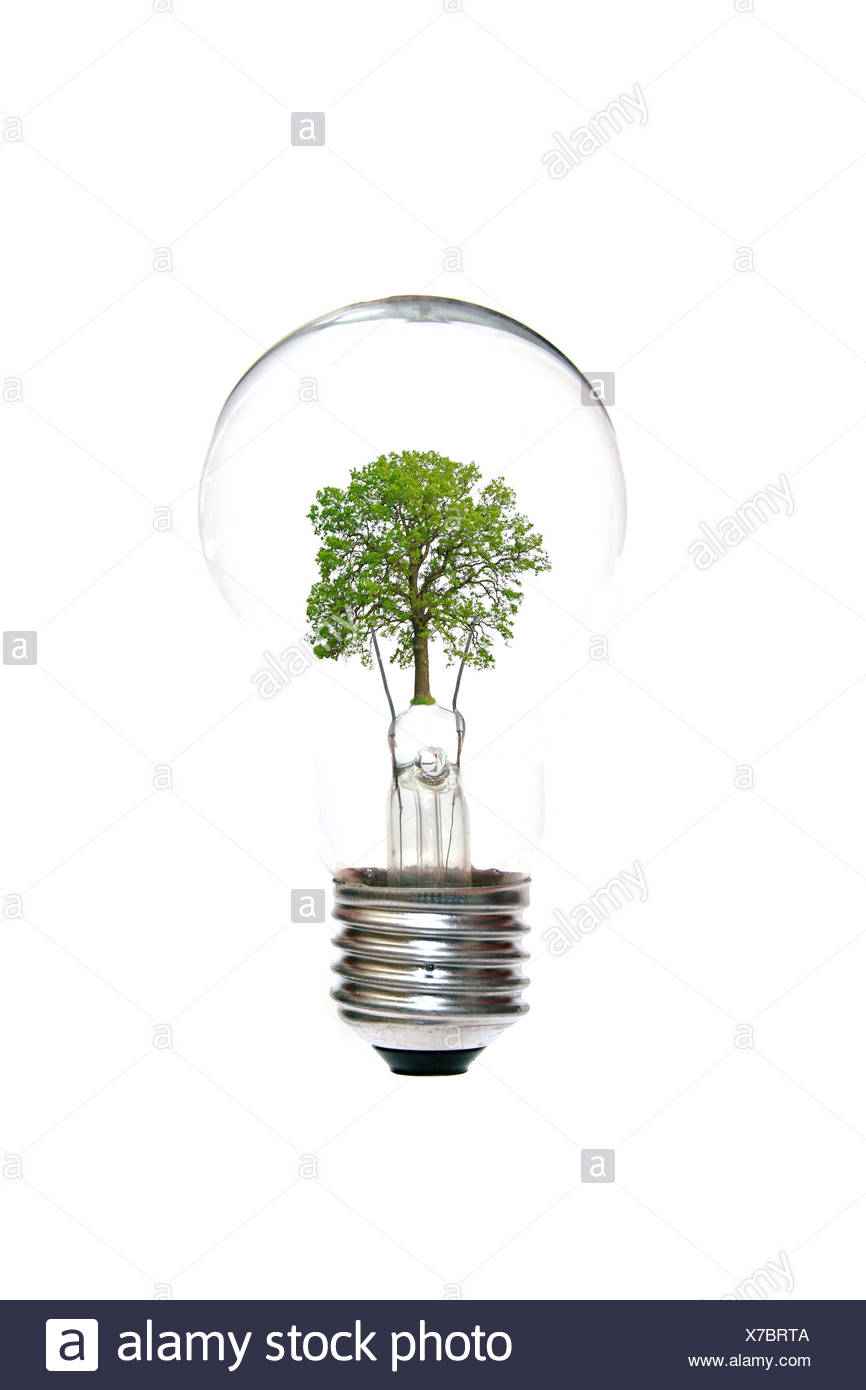 Light Bulb Tree Inside High Resolution Stock Photography and Images - Alamy