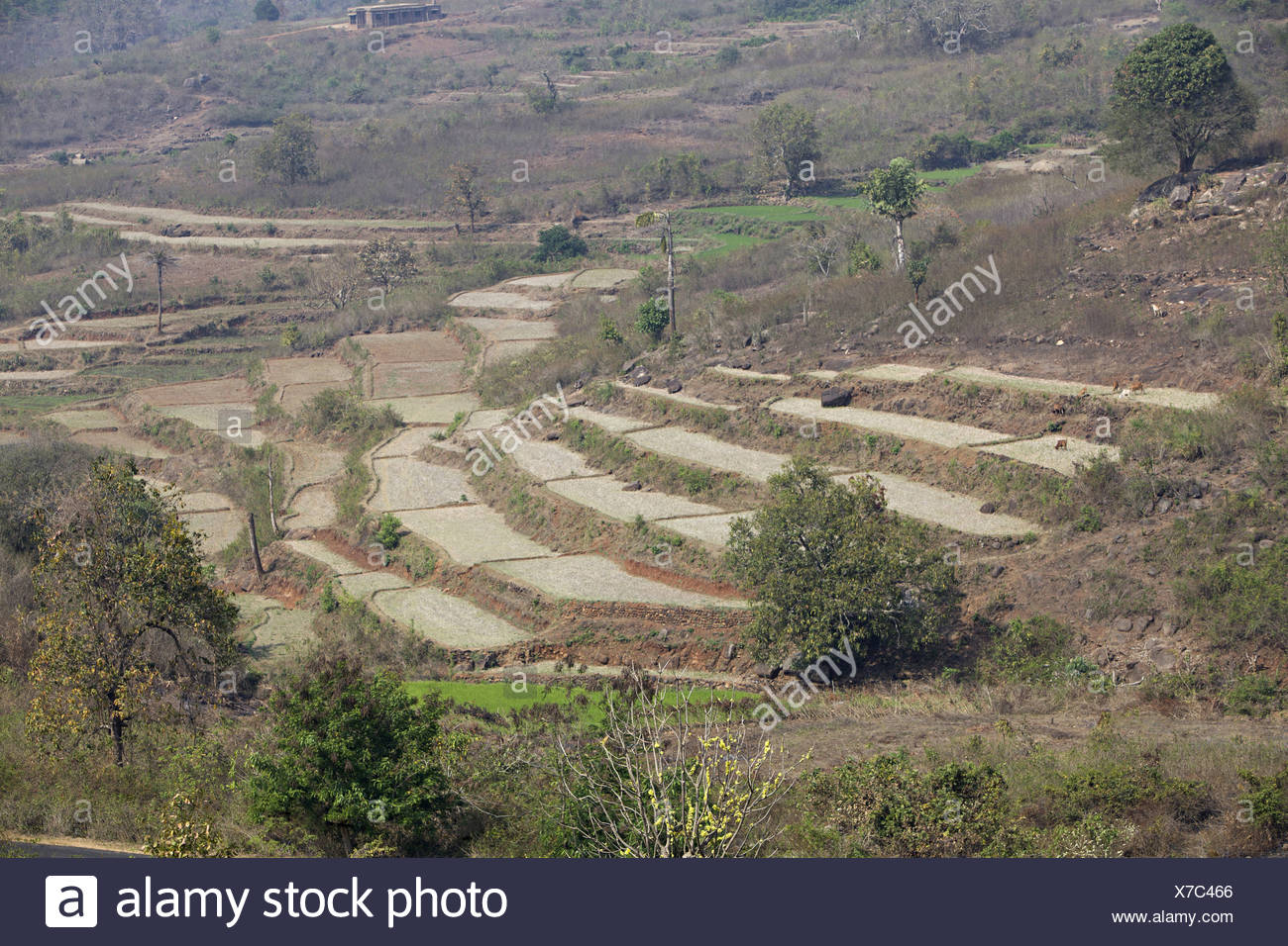 Slope Farm High Resolution Stock Photography and Images - Alamy
