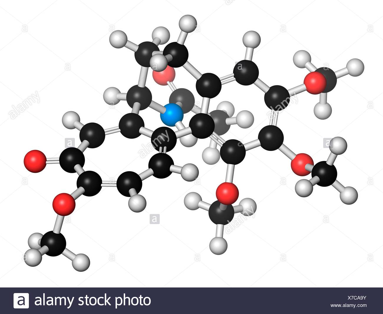 Microtubule Structure High Resolution Stock Photography and Images - Alamy