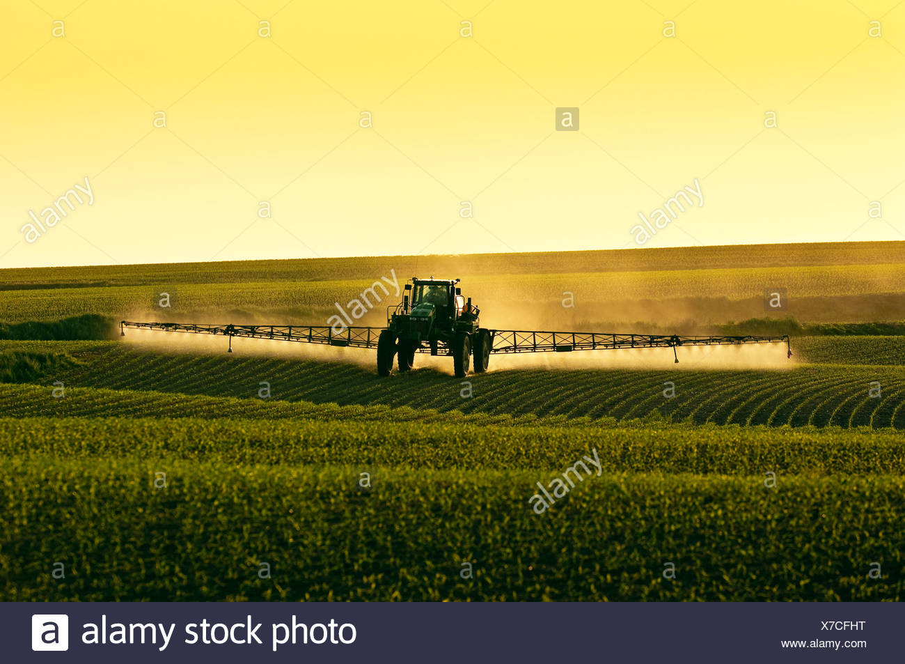 Field Spray High Resolution Stock Photography and Images - Alamy