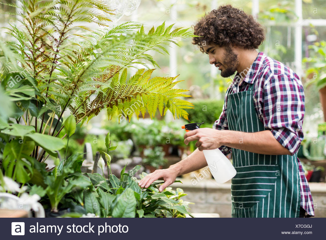 Spraying Stock Photos & Spraying Stock Images - Alamy