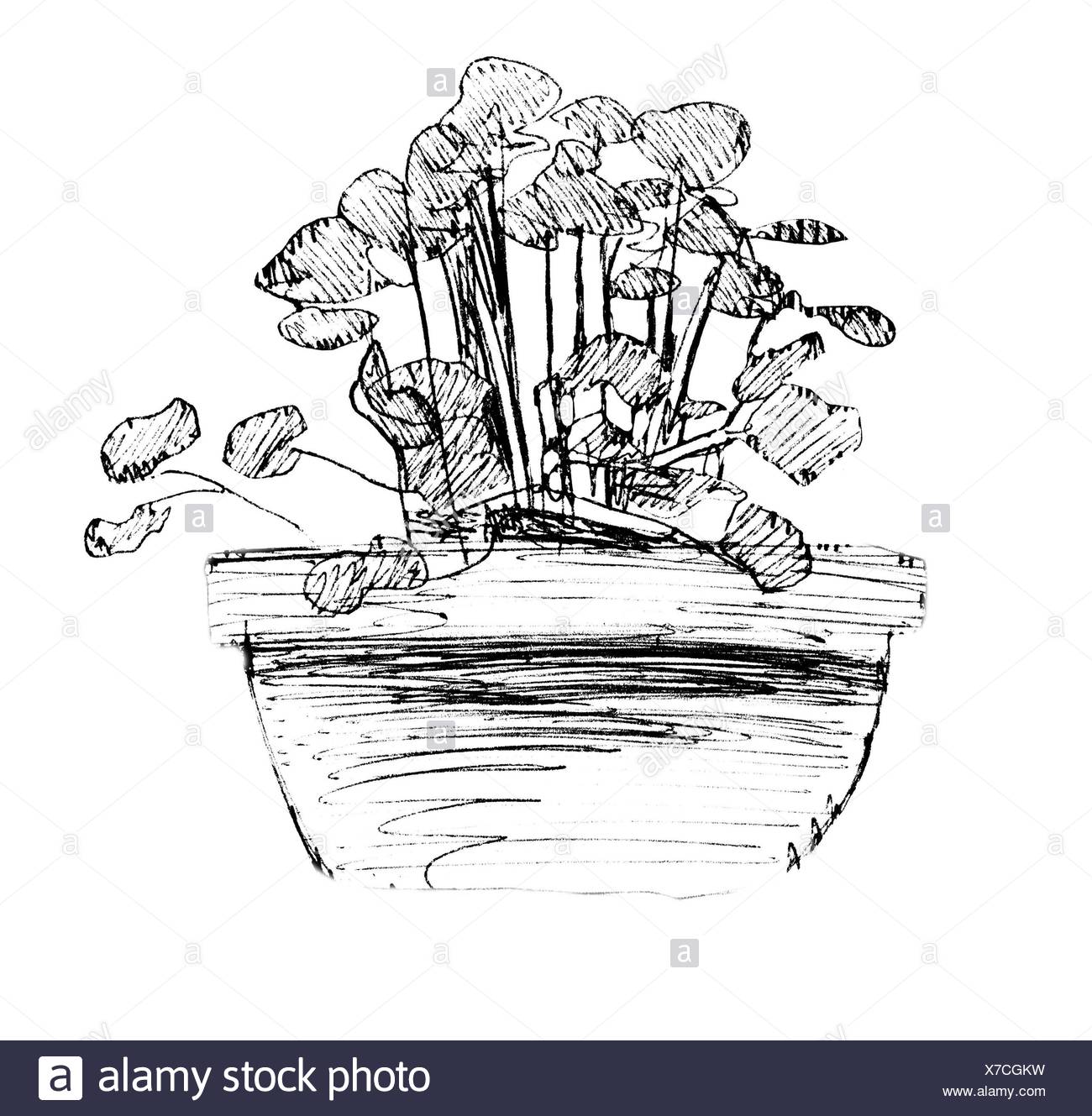 Flower Pot Drawing Sketch Stock Photos & Flower Pot Drawing Sketch ...