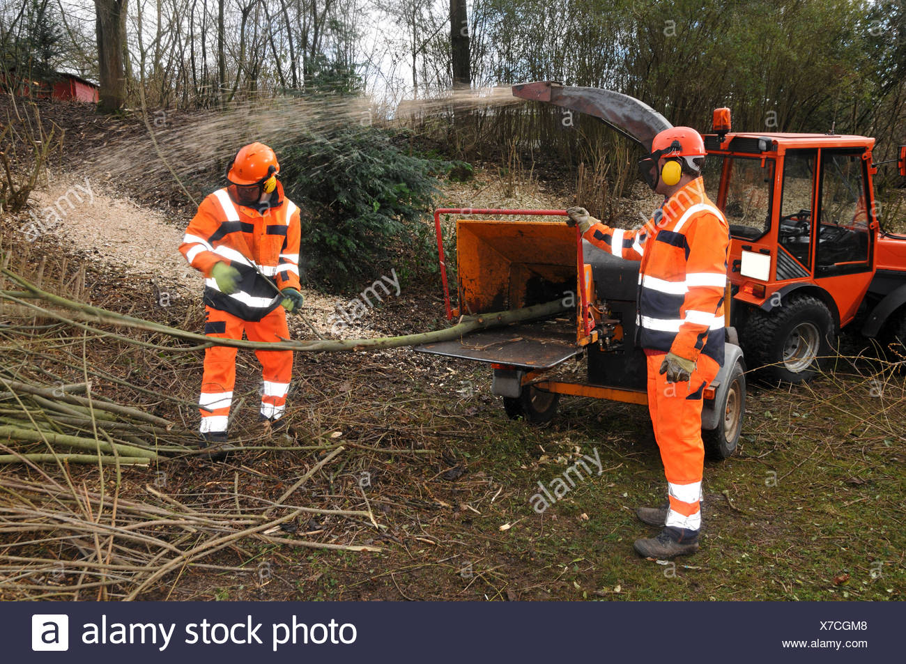 Holz Schreddern High Resolution Stock Photography and Images - Alamy