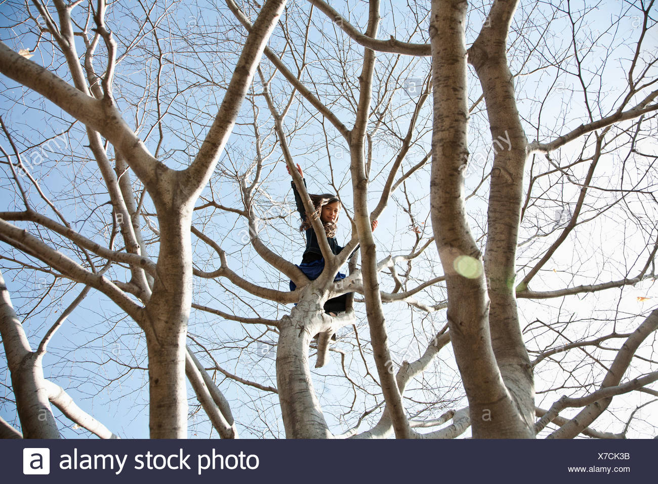 Resting Under A Tree High Resolution Stock Photography and Images - Alamy
