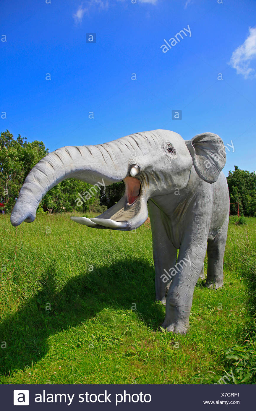 Platybelodon High Resolution Stock Photography and Images - Alamy