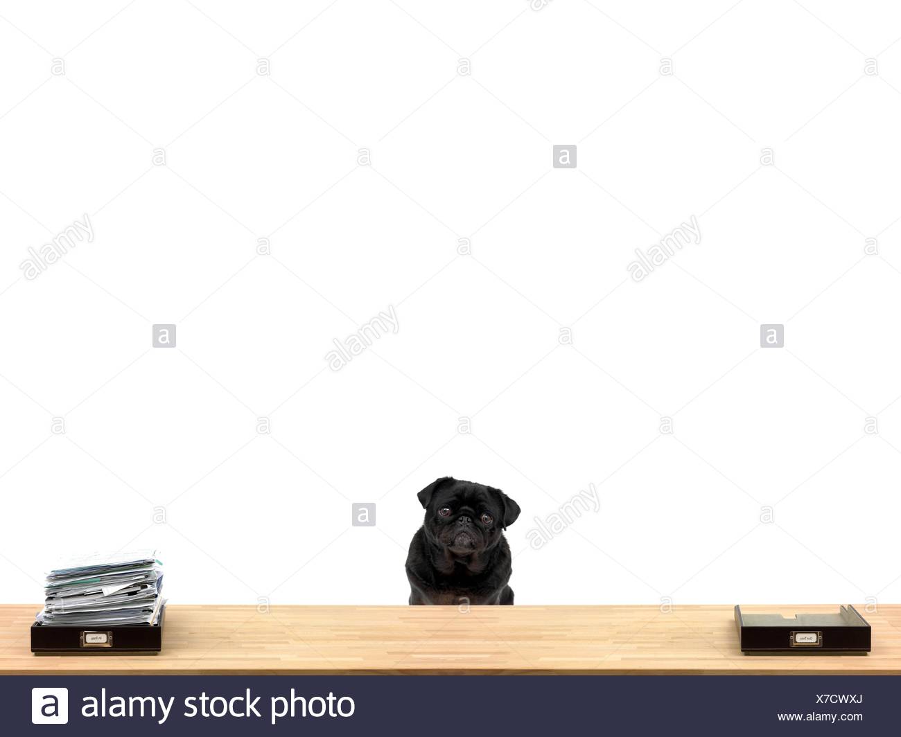 Office In Tray And Out Tray High Resolution Stock Photography and ...