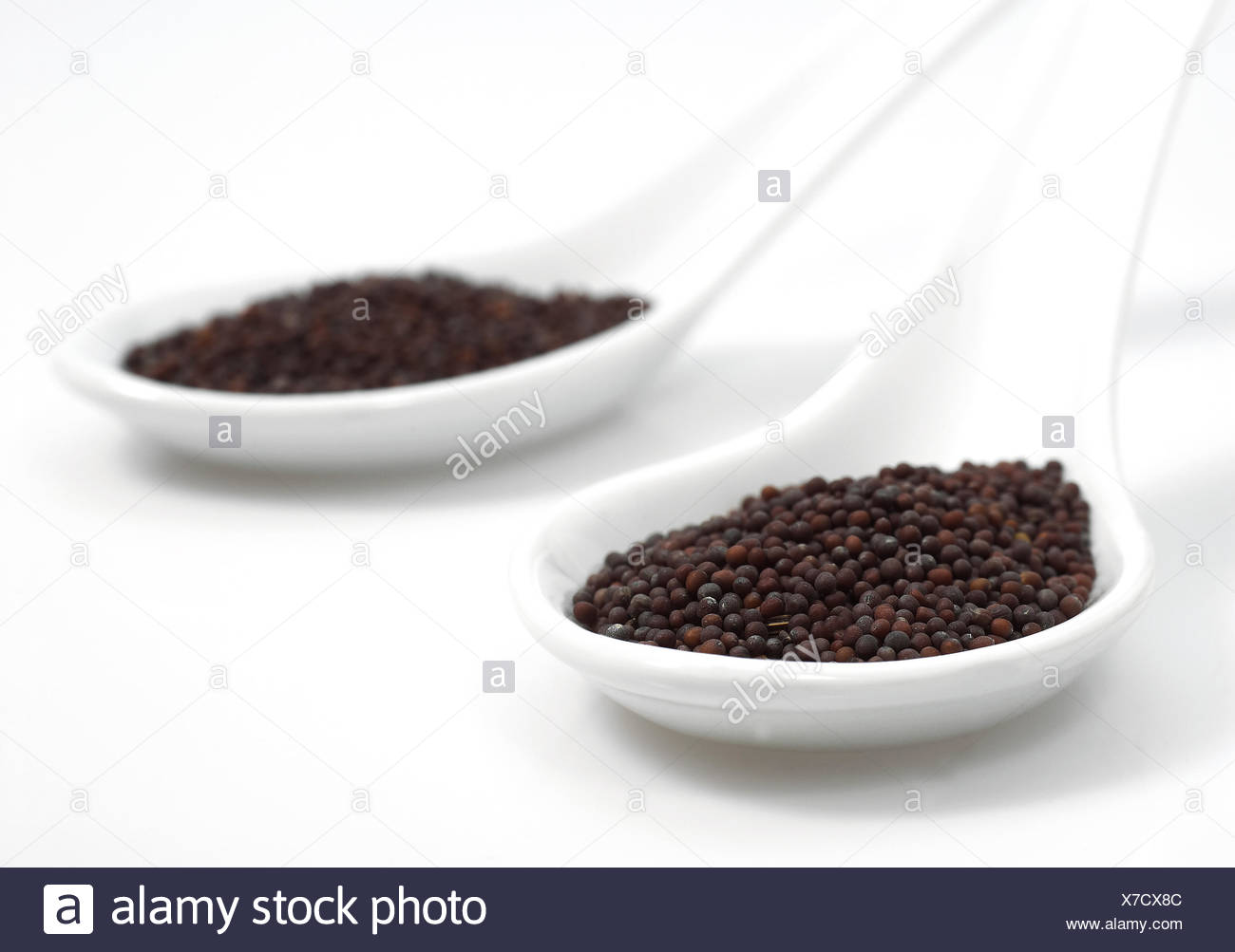 Sinapis Nigra High Resolution Stock Photography and Images - Alamy