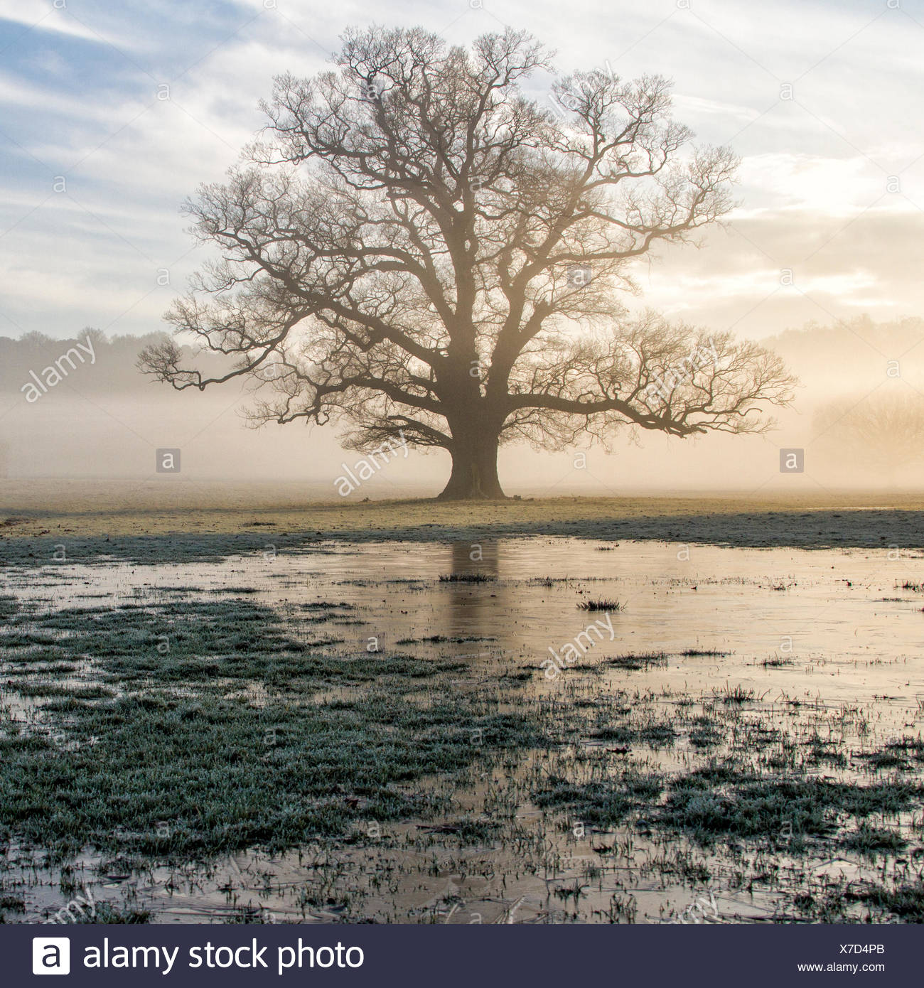 Waterlogged Field High Resolution Stock Photography and Images - Alamy