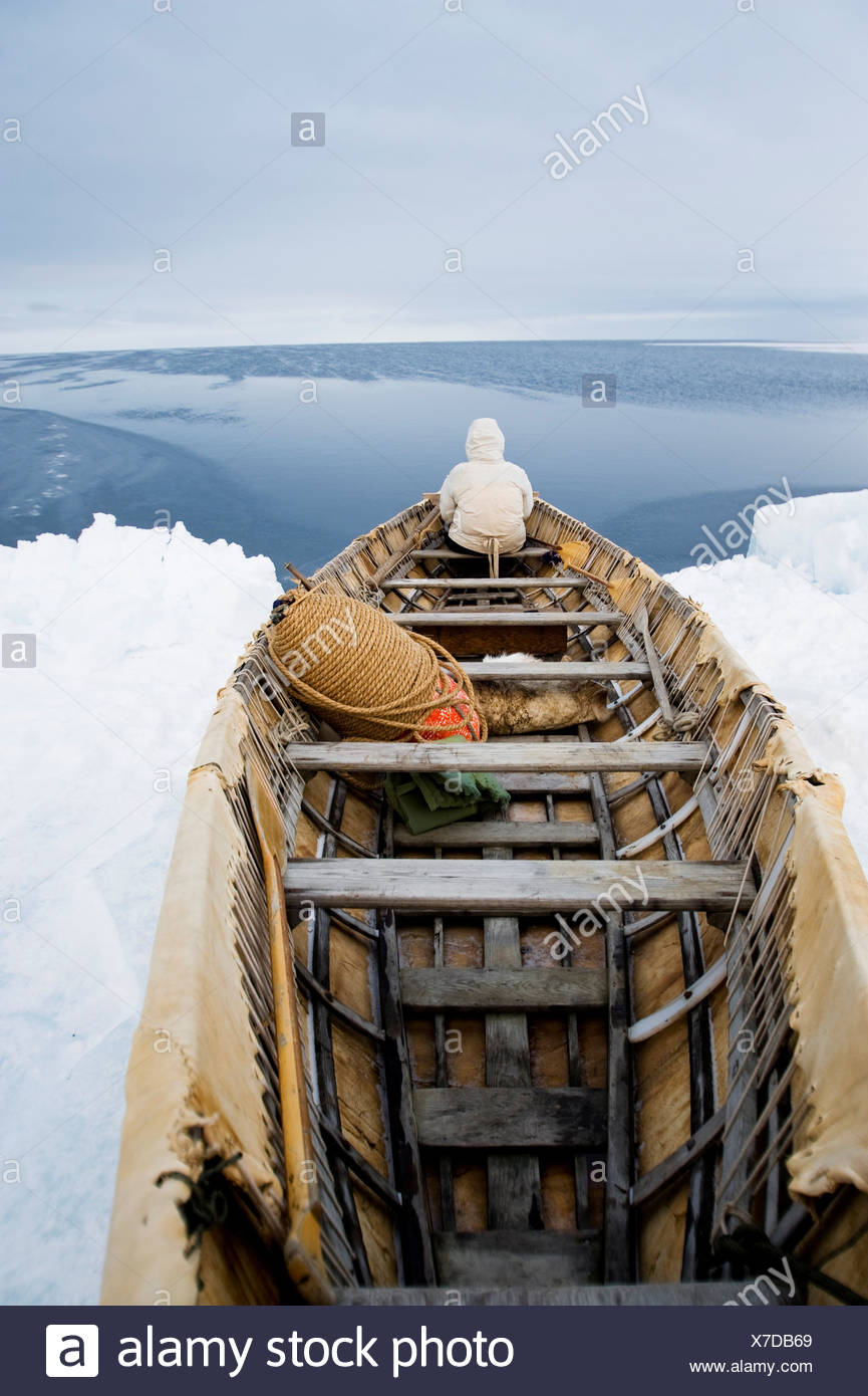 Bearded Seal Hunting High Resolution Stock Photography and Images - Alamy