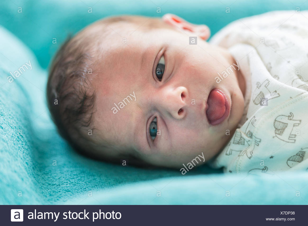 Baby Sticking Out Tongue Funny High Resolution Stock Photography and Images - Alamy