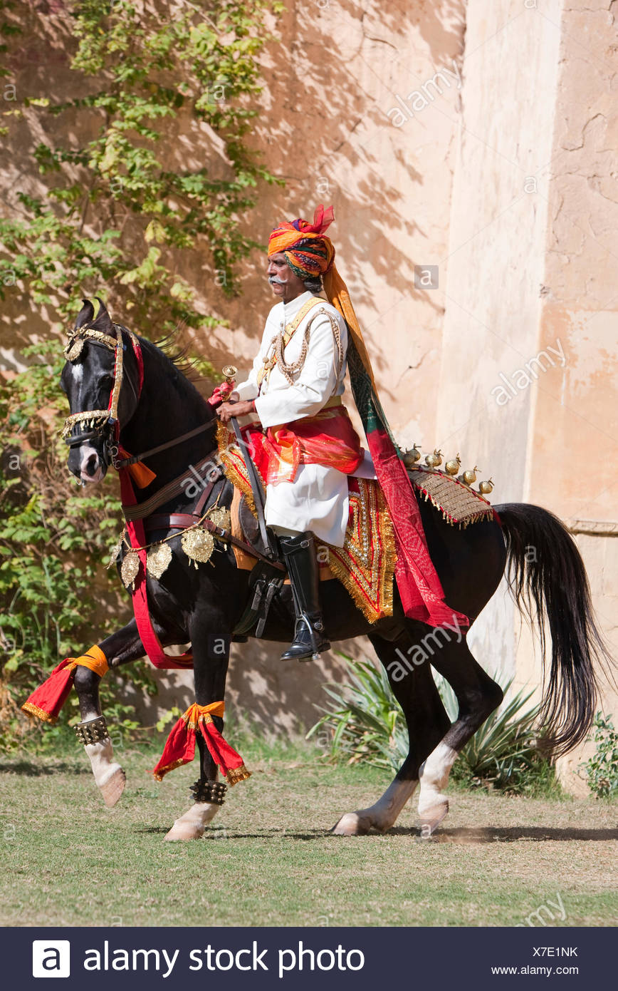 Marwari Horse Rider High Resolution Stock Photography and Images - Alamy