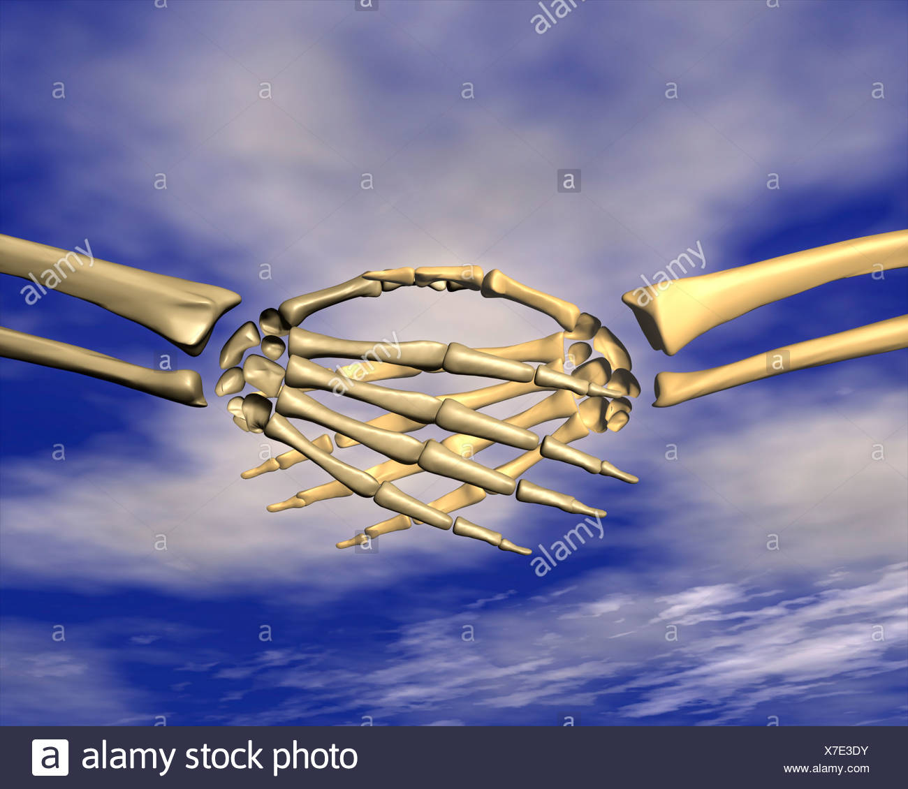 Skeleton Handshake High Resolution Stock Photography and Images - Alamy