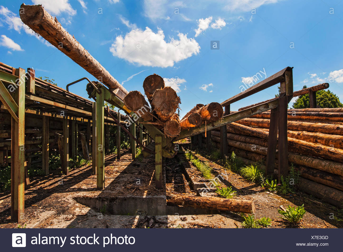 Sorting Sawmill High Resolution Stock Photography and Images - Alamy