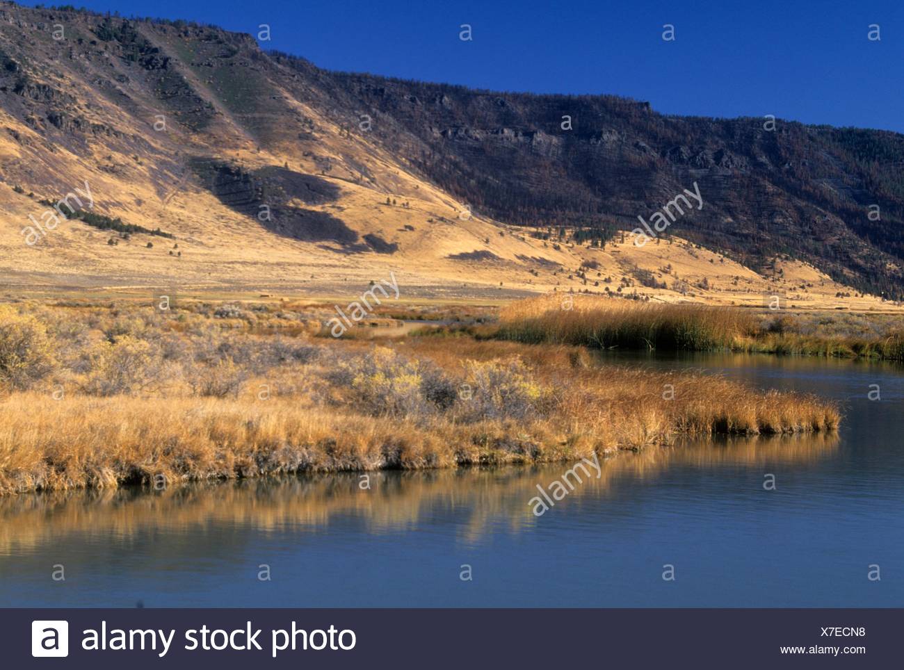 Ana County High Resolution Stock Photography and Images - Alamy