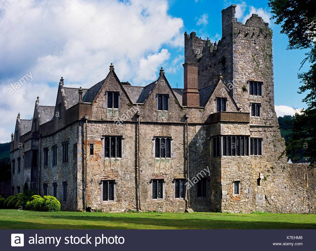 Carrick On Suir High Resolution Stock Photography and Images - Alamy