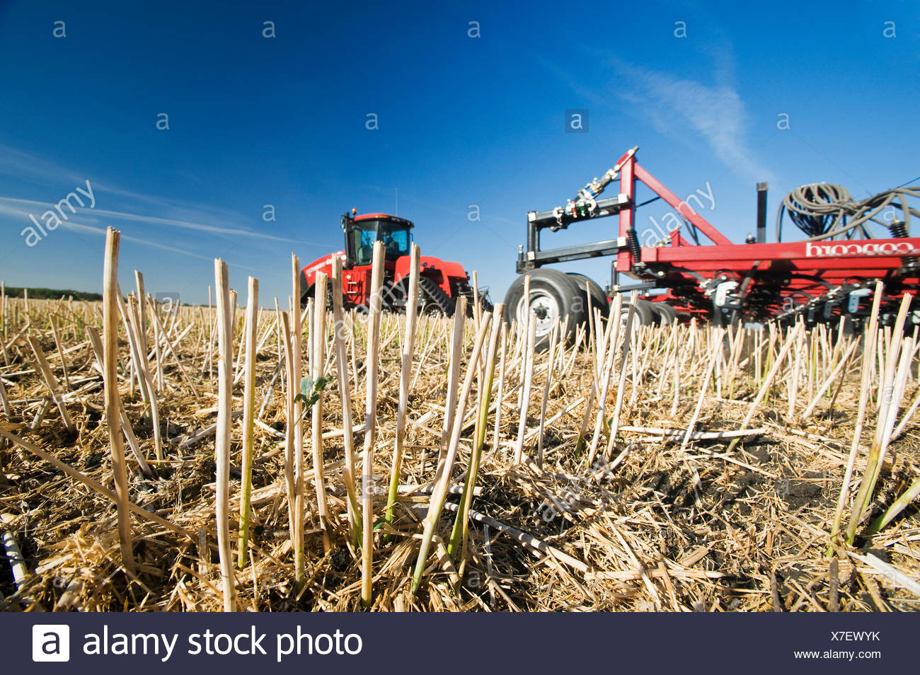No Till Farming Stock Photos & No Till Farming Stock Images - Alamy
