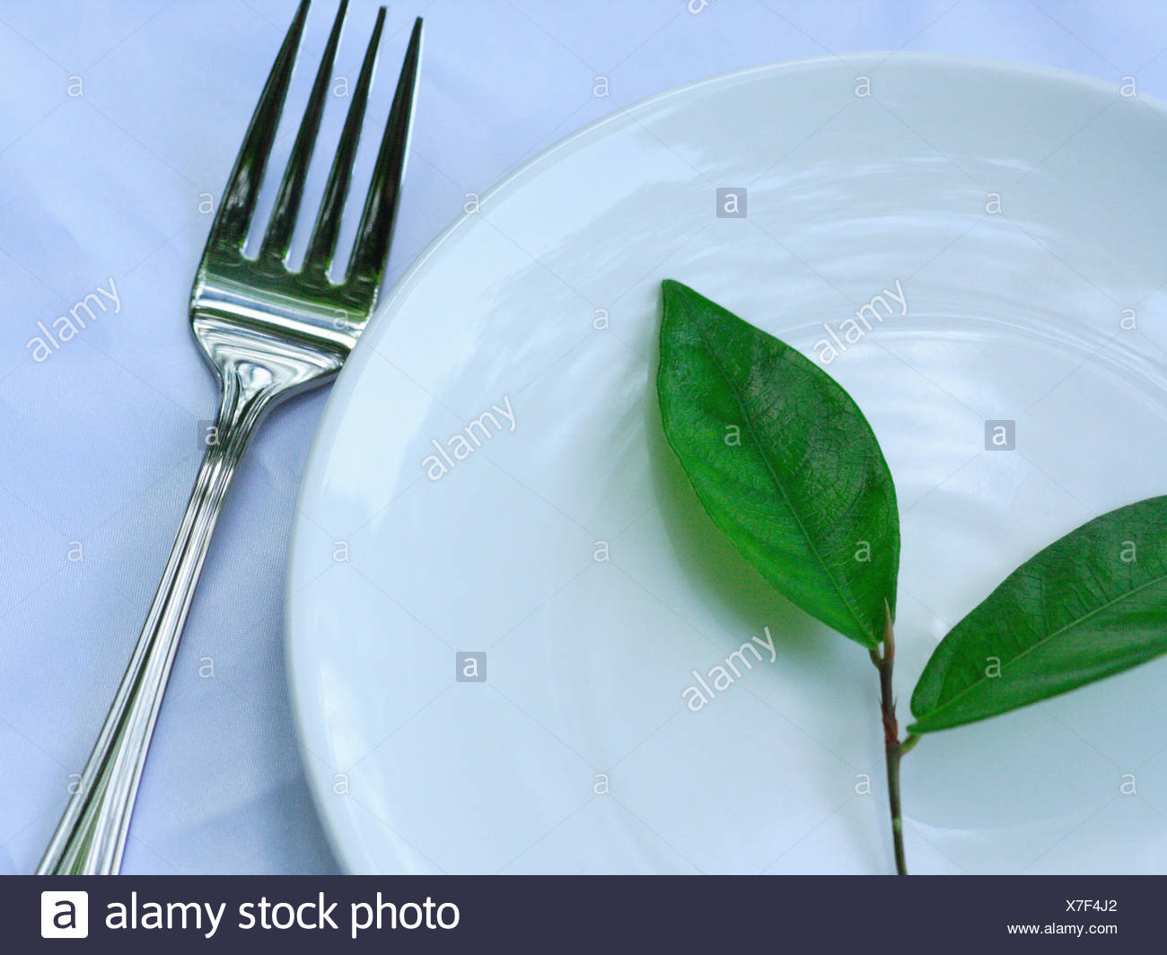 Pterocarpus Stock Photos & Pterocarpus Stock Images - Alamy
