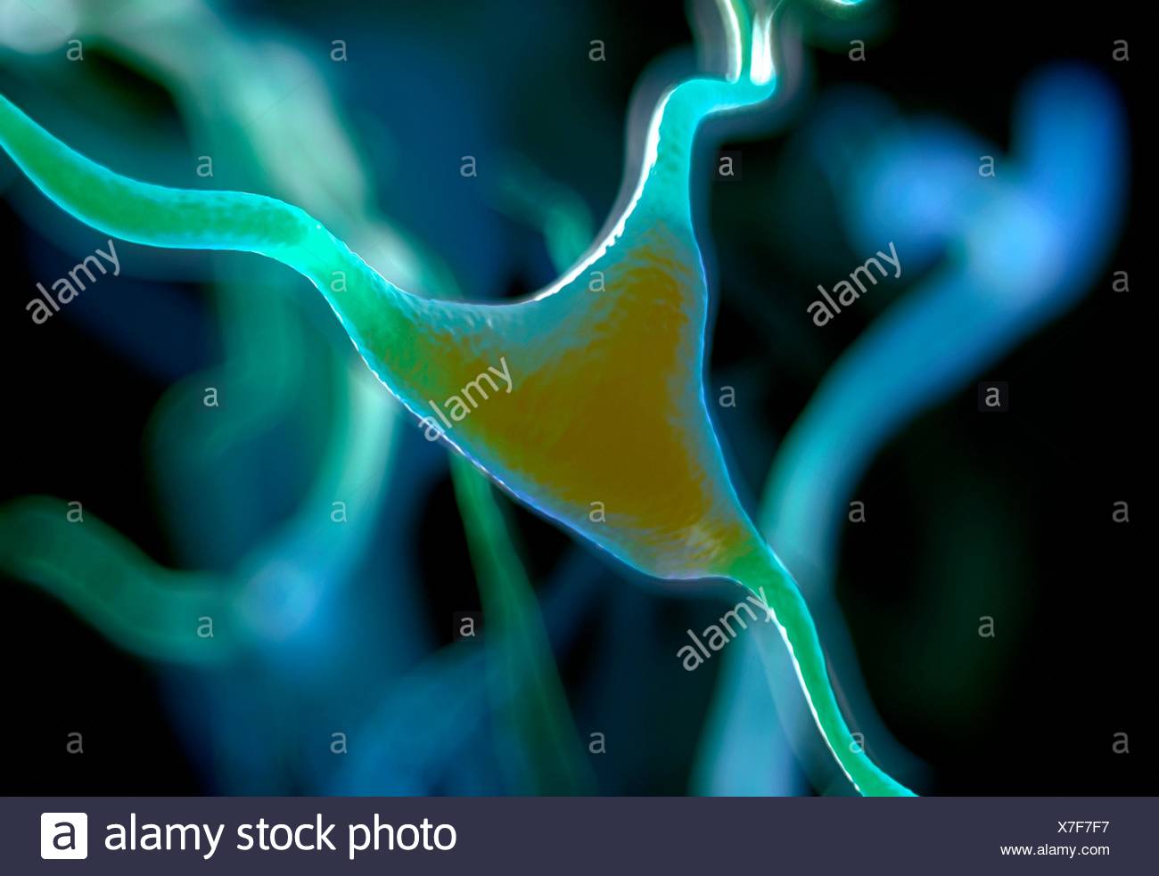 Cortex Neuron High Resolution Stock Photography and Images - Alamy